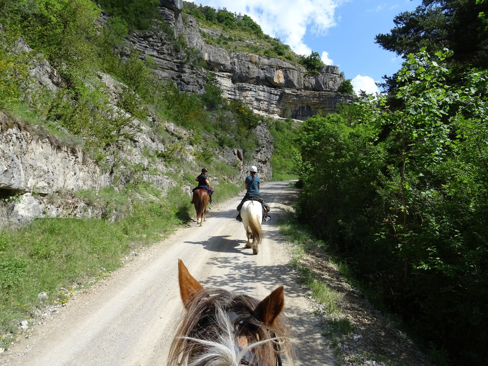 Randonnée à cheval " Entre Provence et Montagnes"